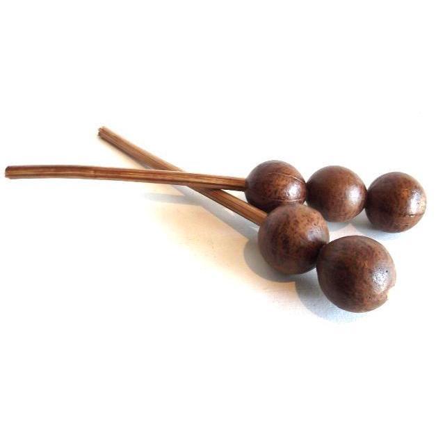 Seed Pod Shaker – Threeworlds Australia